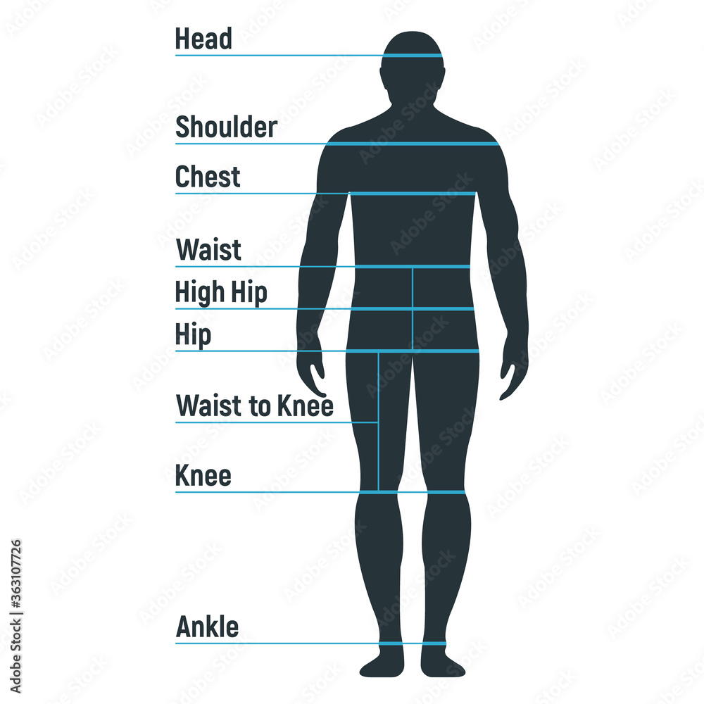 Male size chart anatomy human character, people dummy front and view ...