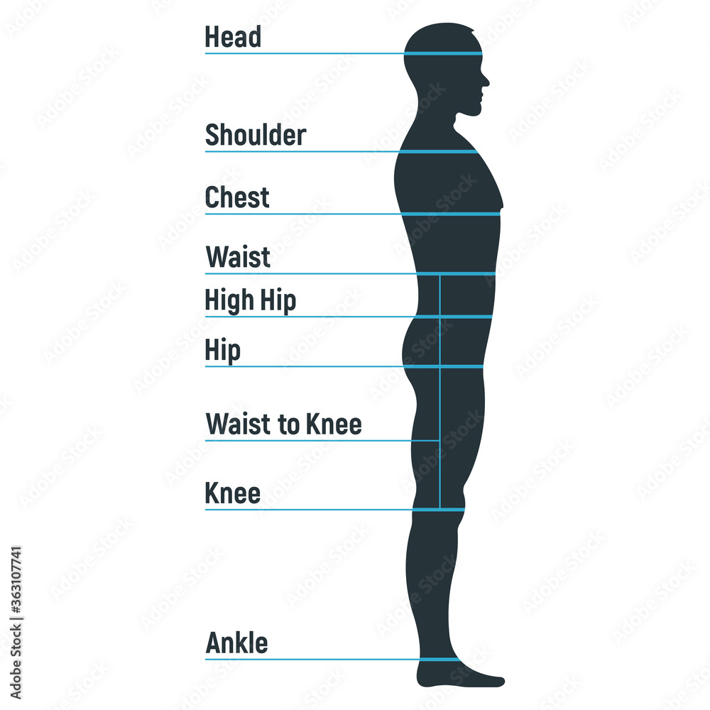 Male size chart anatomy human character, people dummy front and view ...