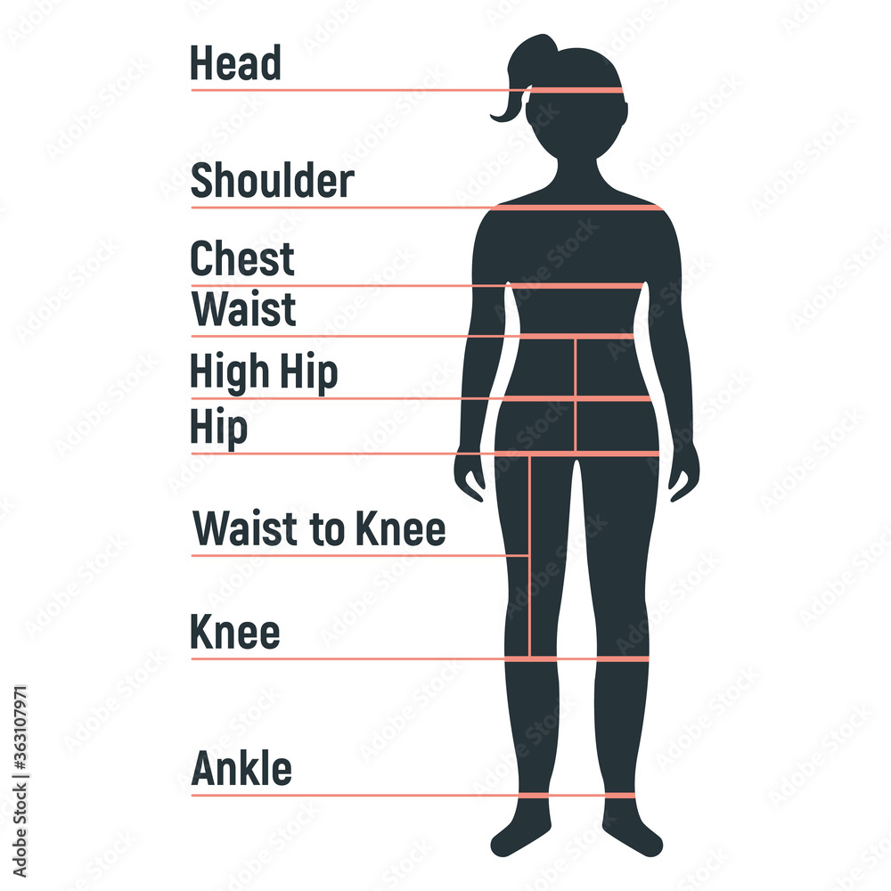Female size chart anatomy human character, people dummy front and view ...