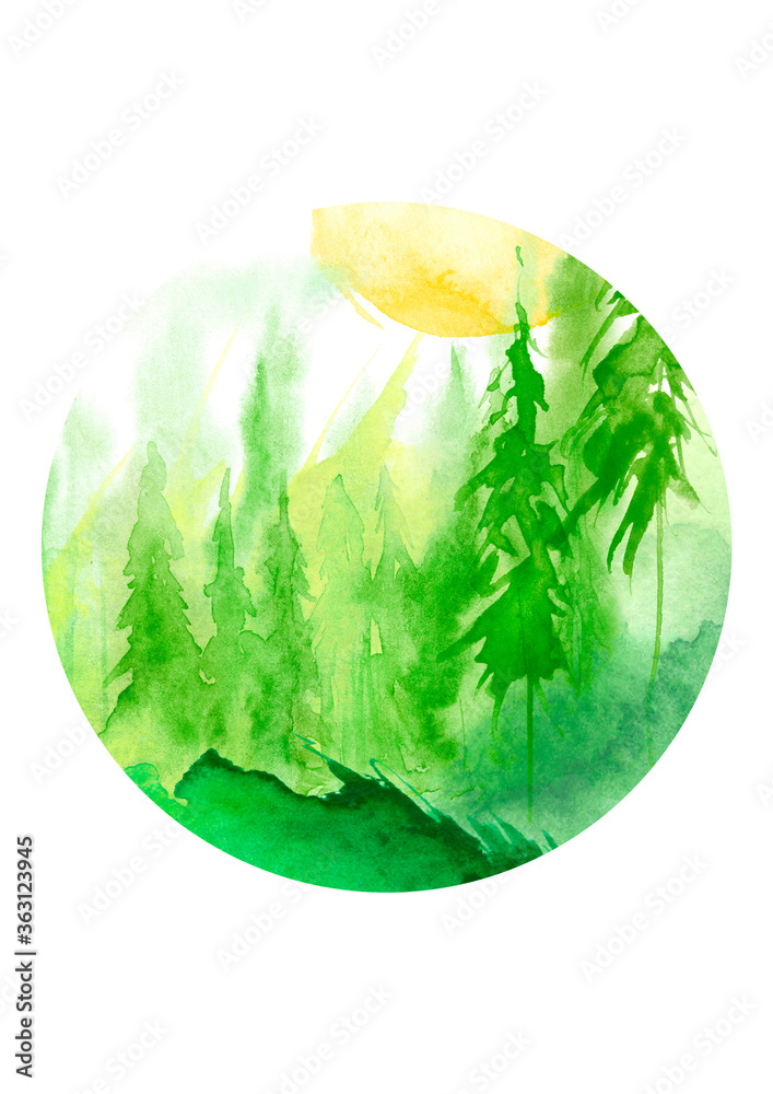 Watercolor group of trees - fir, pine, cedar, fir-tree. green forest ...