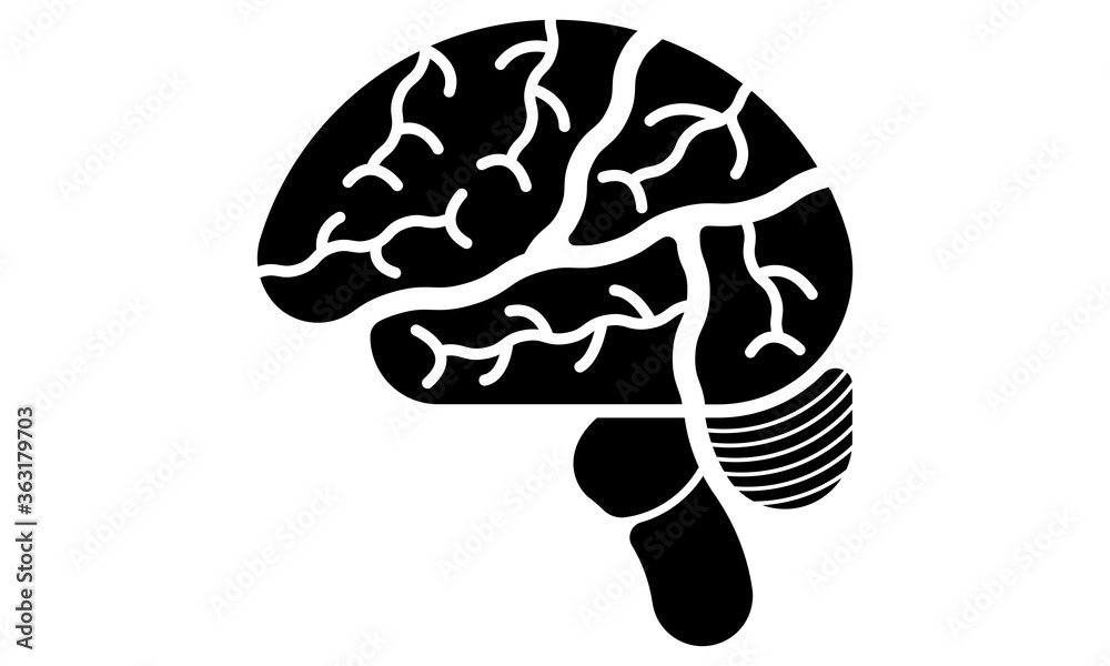 Vector illustration of human brain (side view) on white background ...