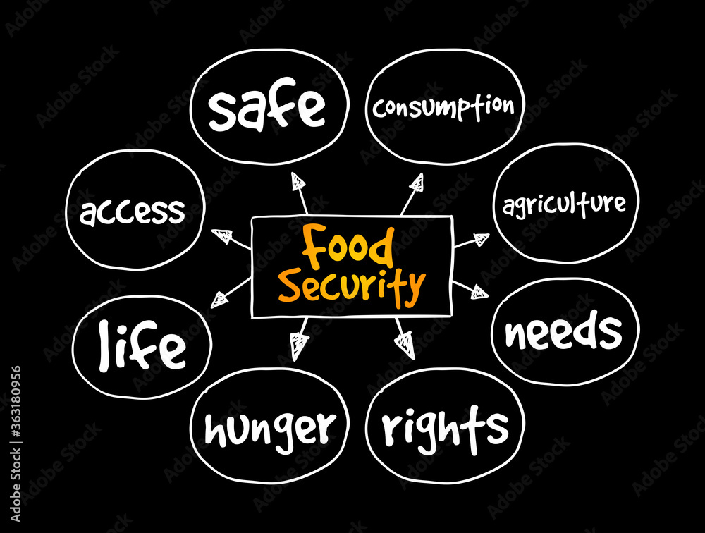 Food Security mind map, concept for presentations and reports Stock ...