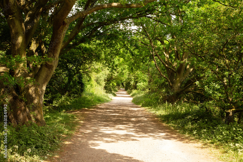 old railway lines now cycle paths and foot paths Stock Photo | Adobe Stock
