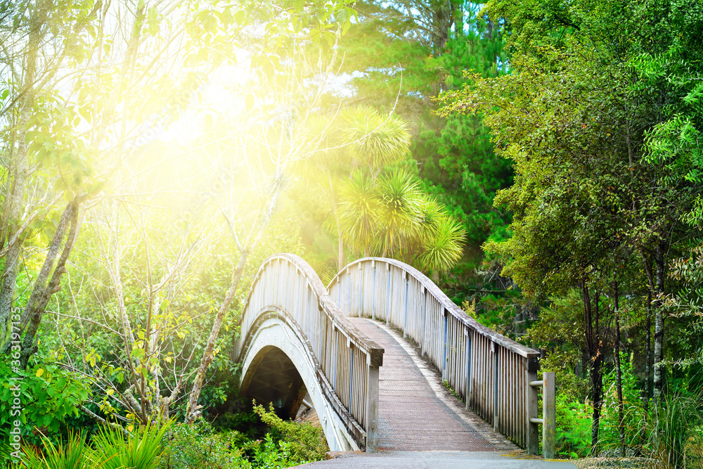 Small wooden arched footbridge leading into forest. Stock Photo | Adobe ...