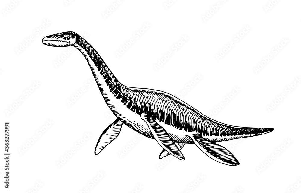 prehistoric reptile of the Jurassic period, giant plesiosaur with fins ...