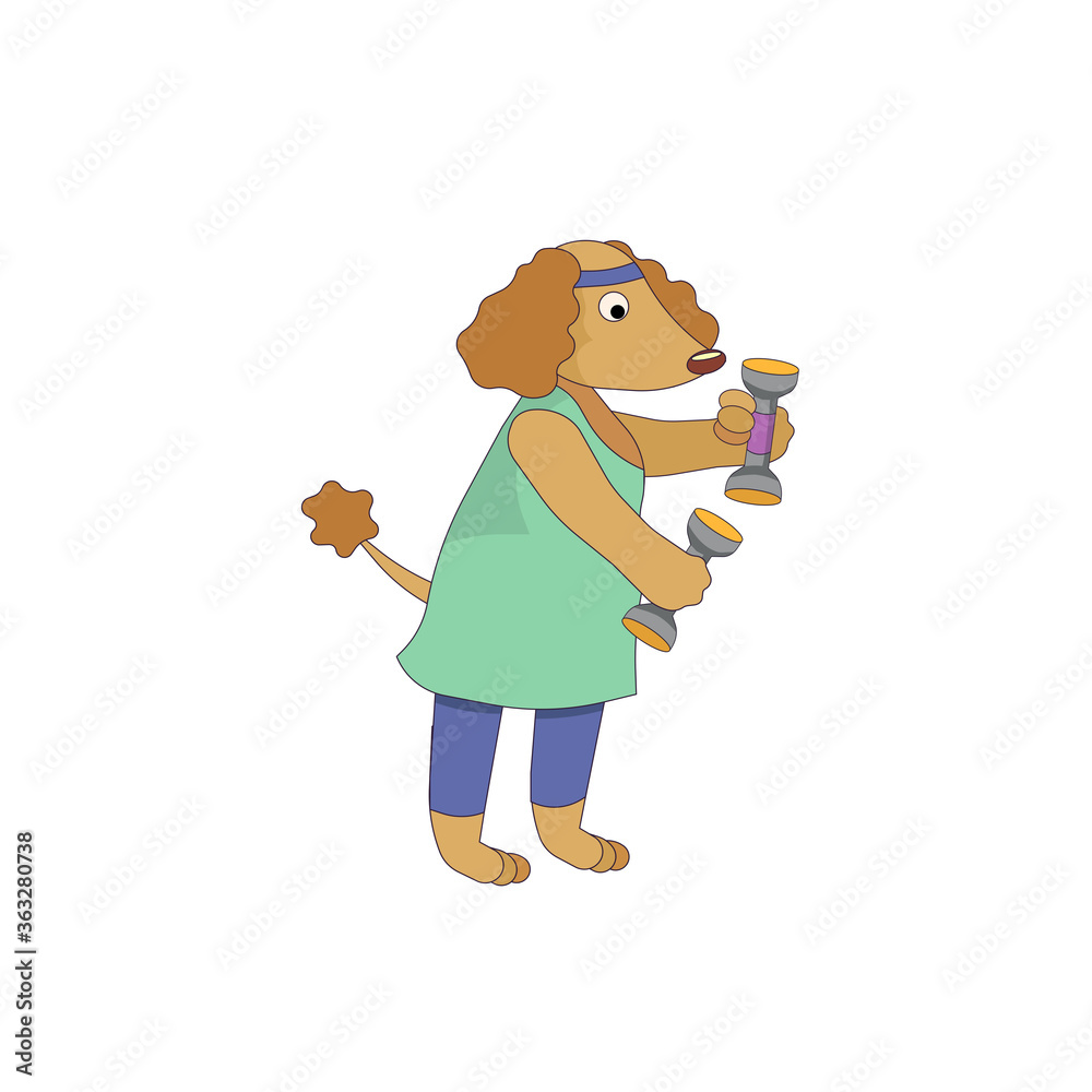 Cartoon Poodle or Shaggy dog doing exercises with weight on white ...