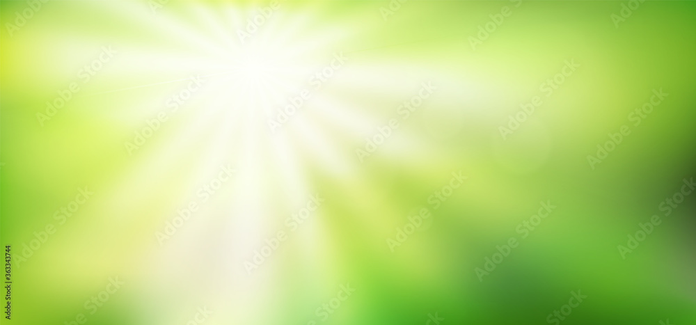 Nature gradient backdrop with bright sun rays. Abstract green blurred ...