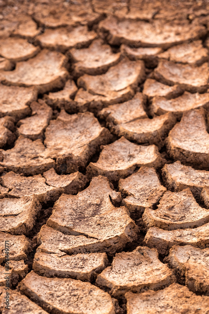 Vertical background of the contraction/desiccation cracks in dry earth ...