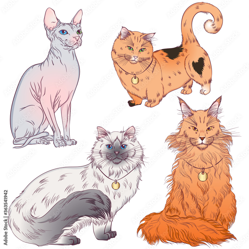 Set of cute cartoon kitties or cats with different breeds colored fur ...