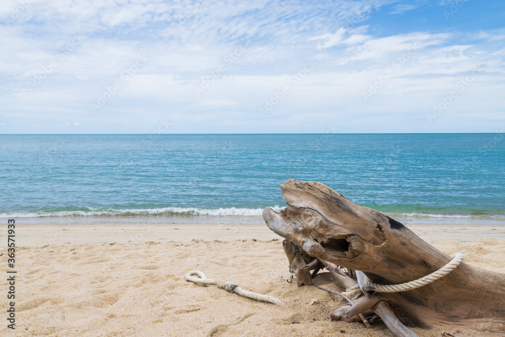 Driftwood on the beach with soft waves and blue sky at the Gulf of ...
