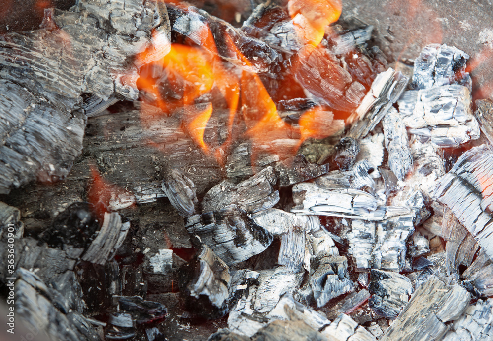 preparing embers in the open air for a delicious barbecue Stock Photo ...