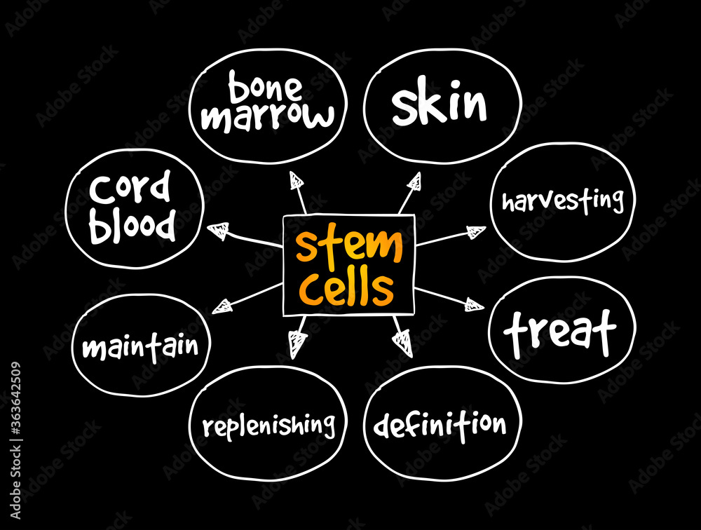 Stem Cells mind map, medical concept for presentations and reports ...
