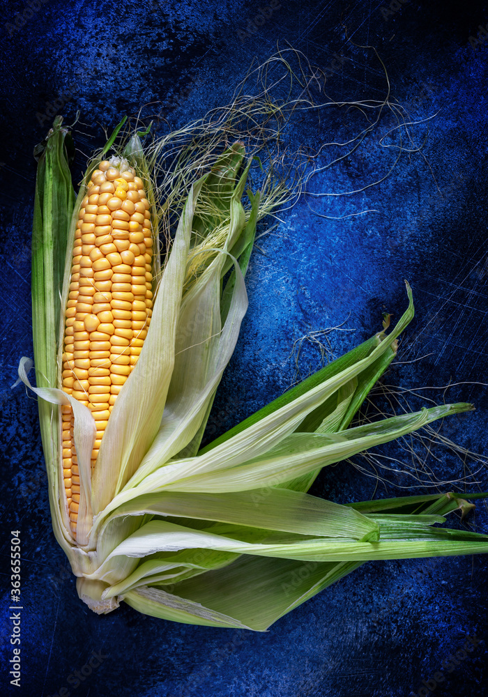 A whole cob of young yellow corn with beautifully spread leaves on a ...