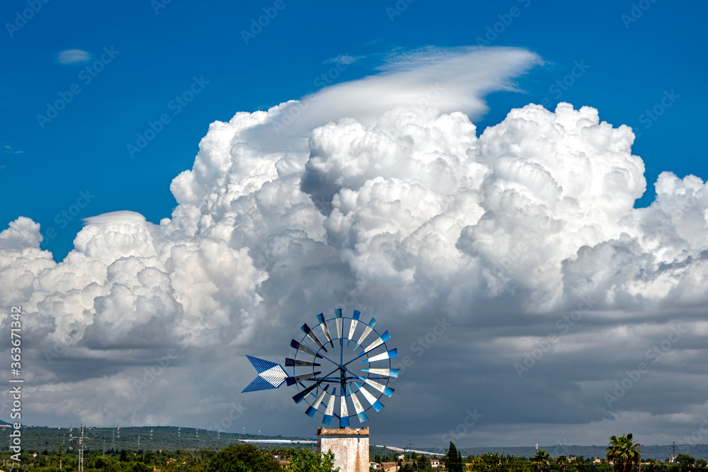 Landscape with cumulus type clouds, with pileus, trying to evolve into ...