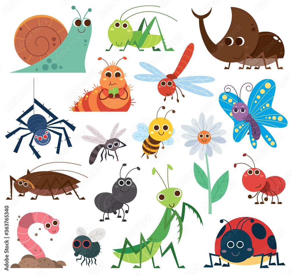 Vector Illustration of Cute insect set. Cartoon insects. beetle ...