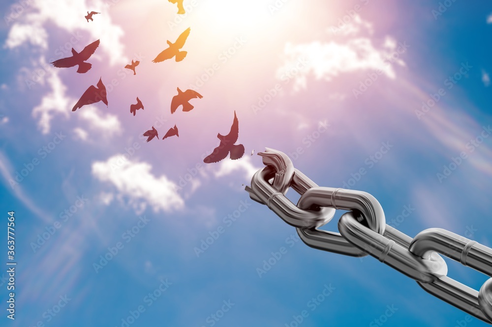 Freedom. Stock Photo | Adobe Stock