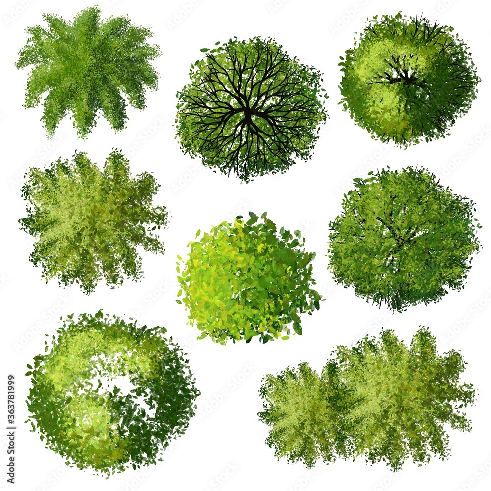 set of tree top view for landscape plan and architecture element Stock ...