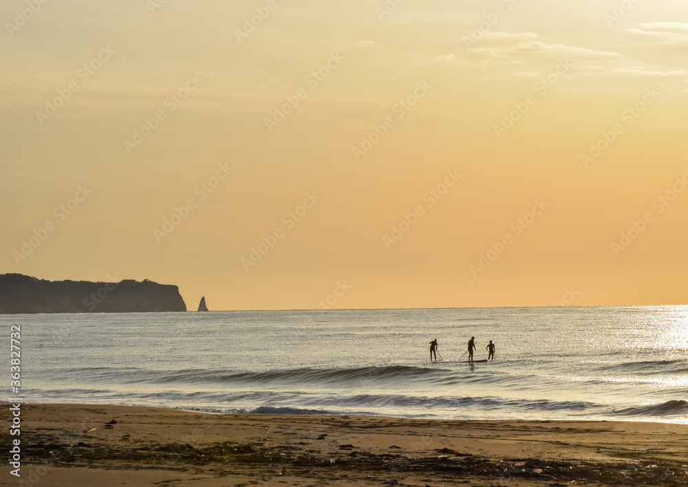 Japanese Beach on the Pacific Ocean close to Tokyo called Hebara ...