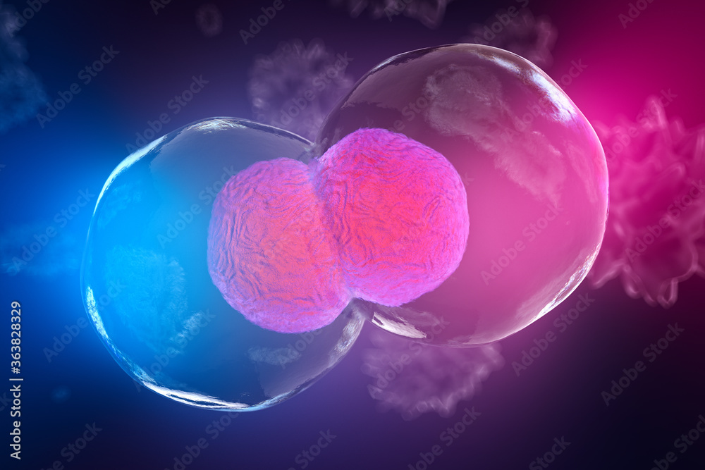 Body cell division under a microscope Stock Illustration | Adobe Stock