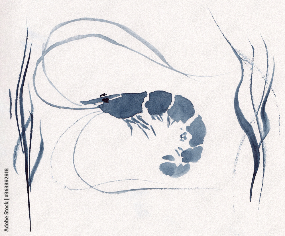 Watercolor illustration of underwater shrimp in Chinese Ink technique ...