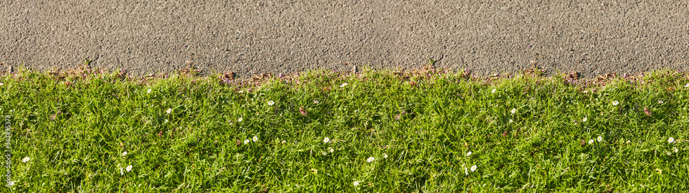 Green grass line as a delimitation from above as a header Stock Photo ...
