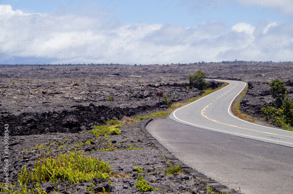 Lava desert with black solidified magma rocks form fertile ground for ...
