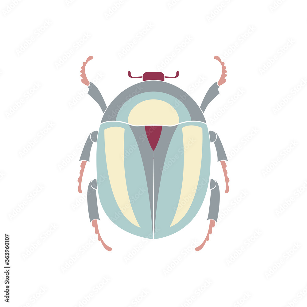 Bug beetle view from above. Isolated insect cartoon vector illustration ...