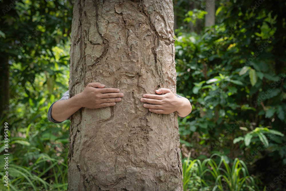 man hugging a tree , concept for save natural, environmental preserve ...