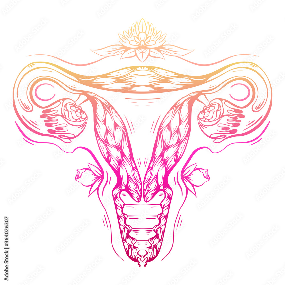 Gradient contour anatomical sketch of the uterus with flower and ...