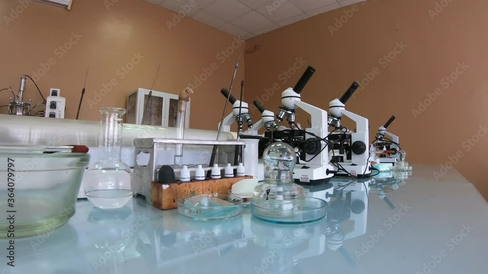 Microscopes in the molecular laboratory. The microscope is used for ...