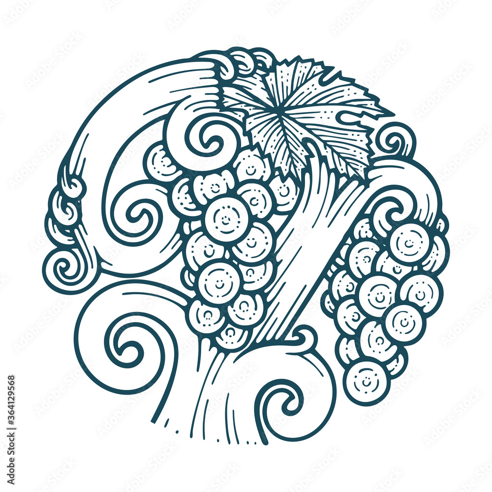 Grape and vine hand drawn vector illustration. Grapevine engraving ...