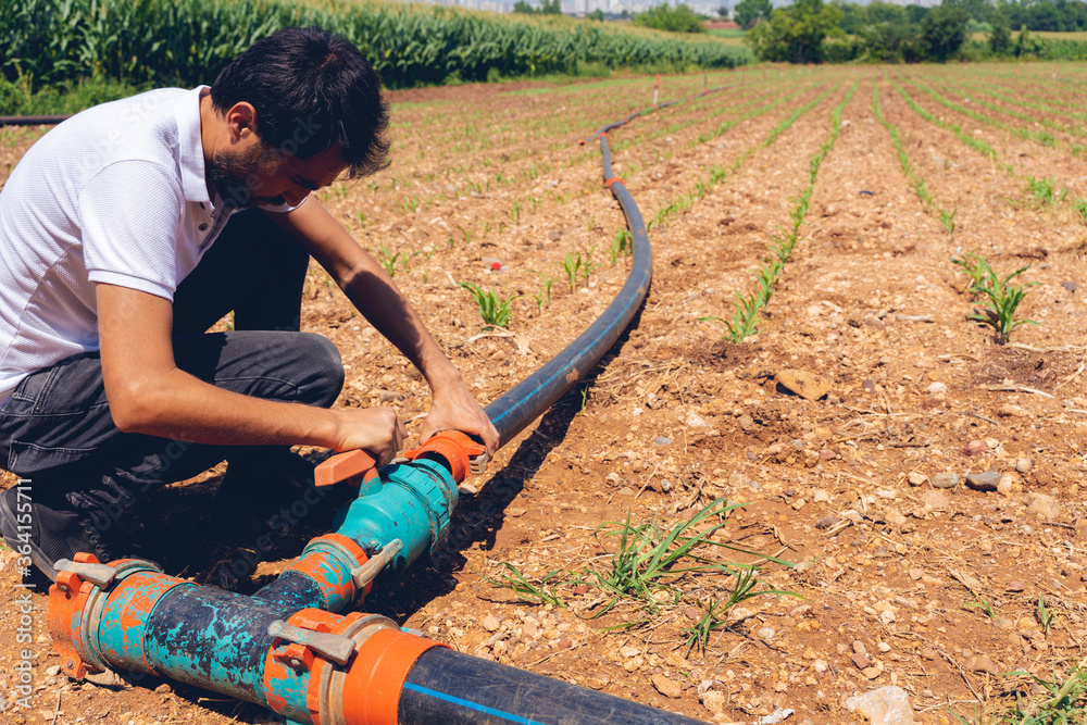 Irrigation system. Water saving irrigation system being used in a young ...