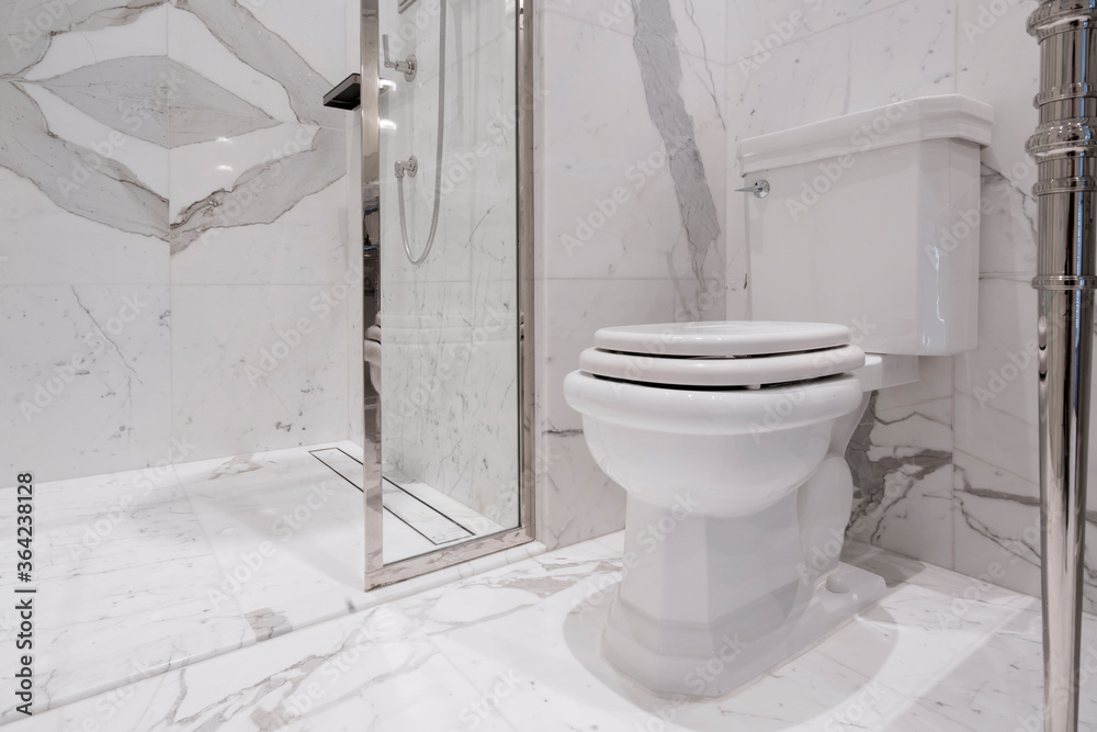 interior toilet design with white marble stone and accessory fitting ...