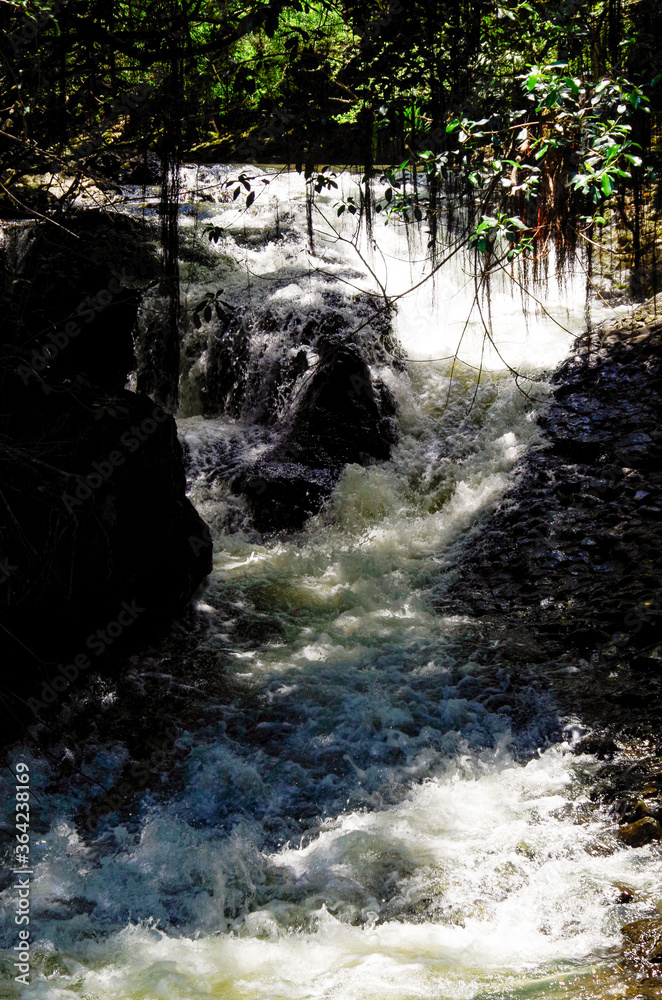 Beautiful tropical paradise rainforest landscape and nature with Twin ...