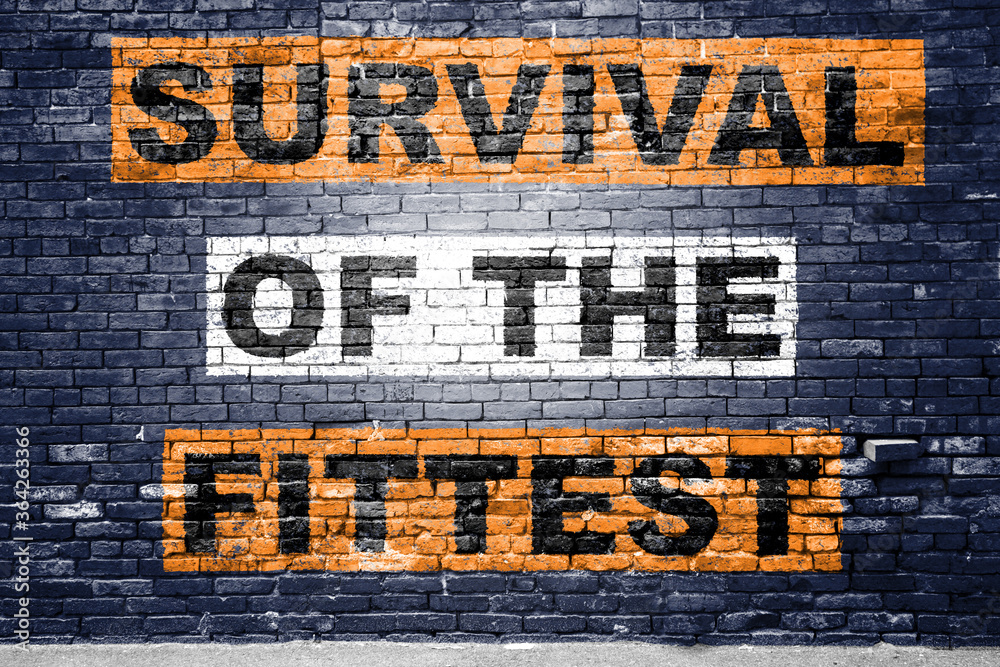 Survival of the Fittest Motivation Quote Stock Illustration | Adobe Stock