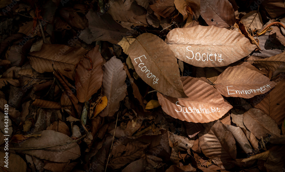 the three components of sustainable development wrote on dried leaf in ...