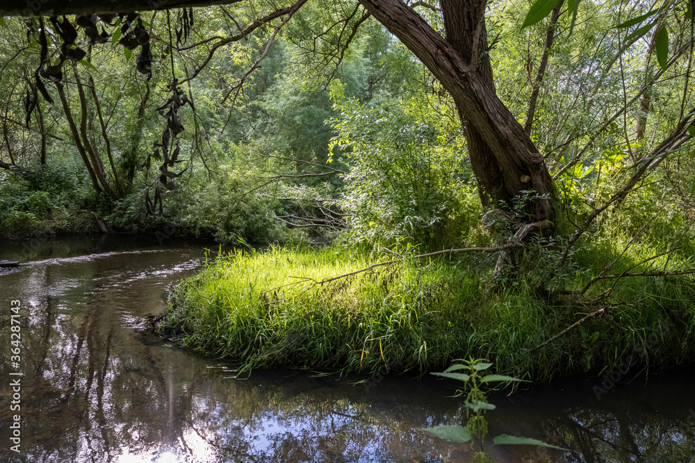 Beautiful murky river floating through a lush, green area. Reflections ...