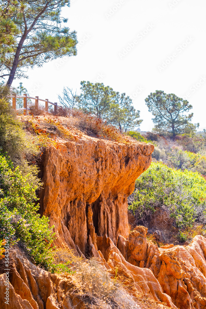 Foto de San Diego, California. Sandstone cliffs an pine trees at Torrey ...