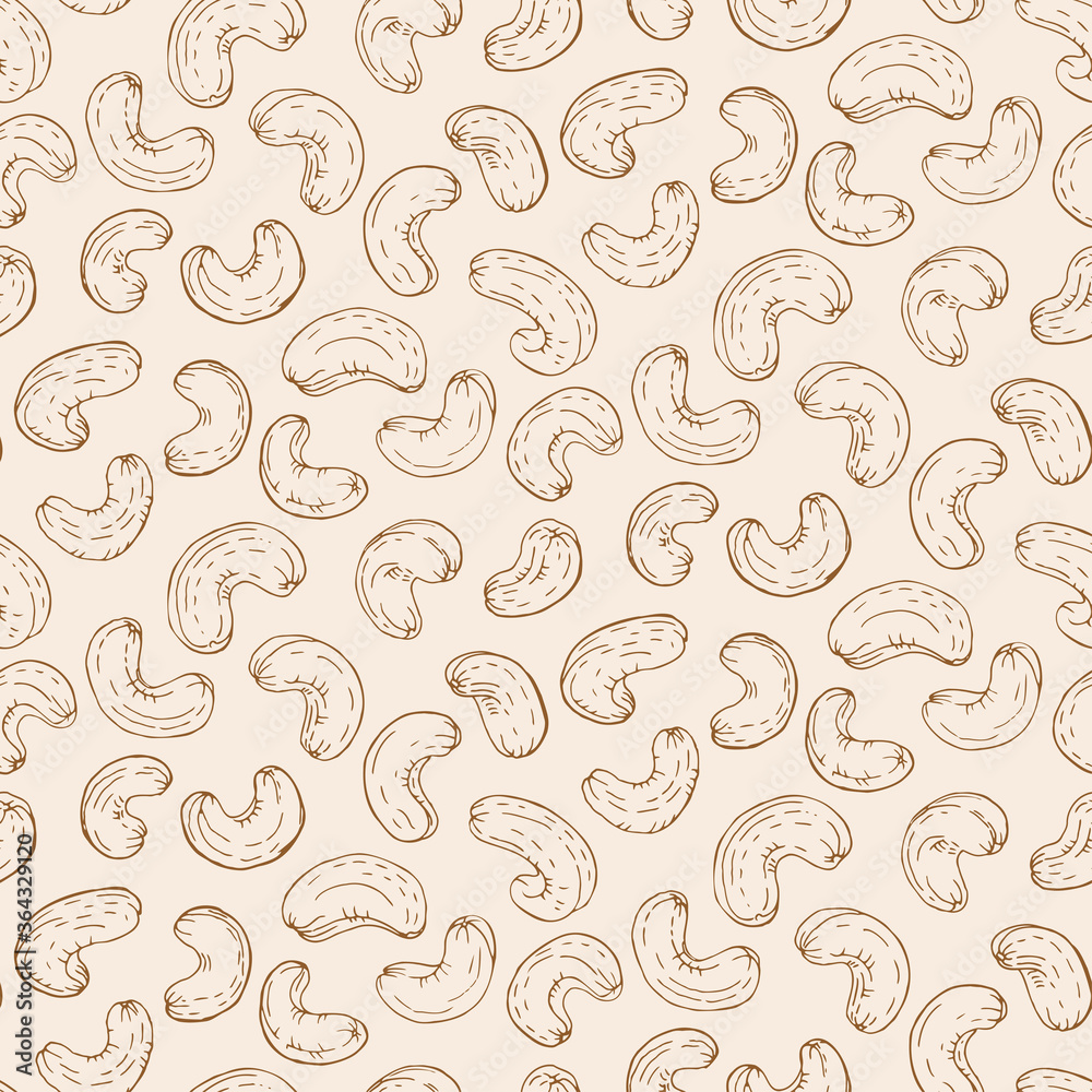 Cashew nut seed plant pattern. Hand drawn style. Retro vintage graphic ...