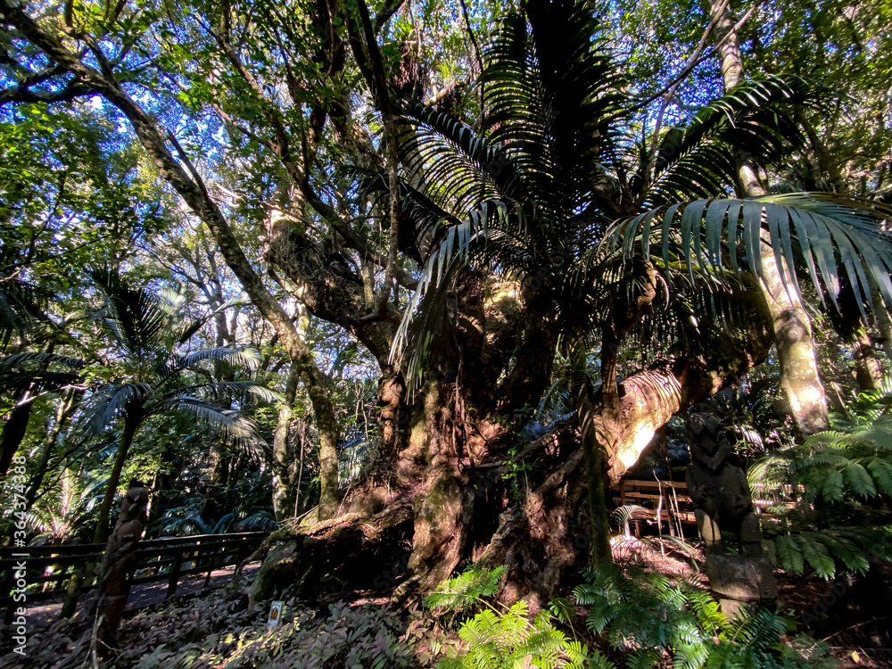 Hukutaia Domain ranks as one of Opotiki's main attractions. It is a 5 ...