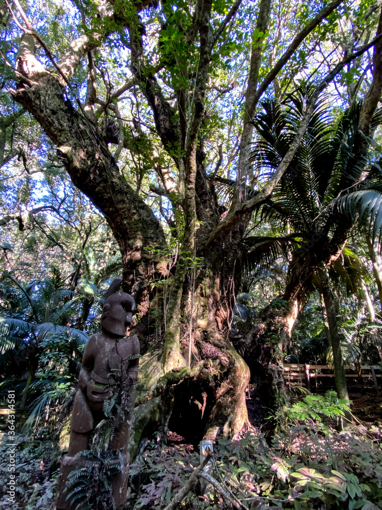 Hukutaia Domain ranks as one of Opotiki's main attractions. It is a 5 ...