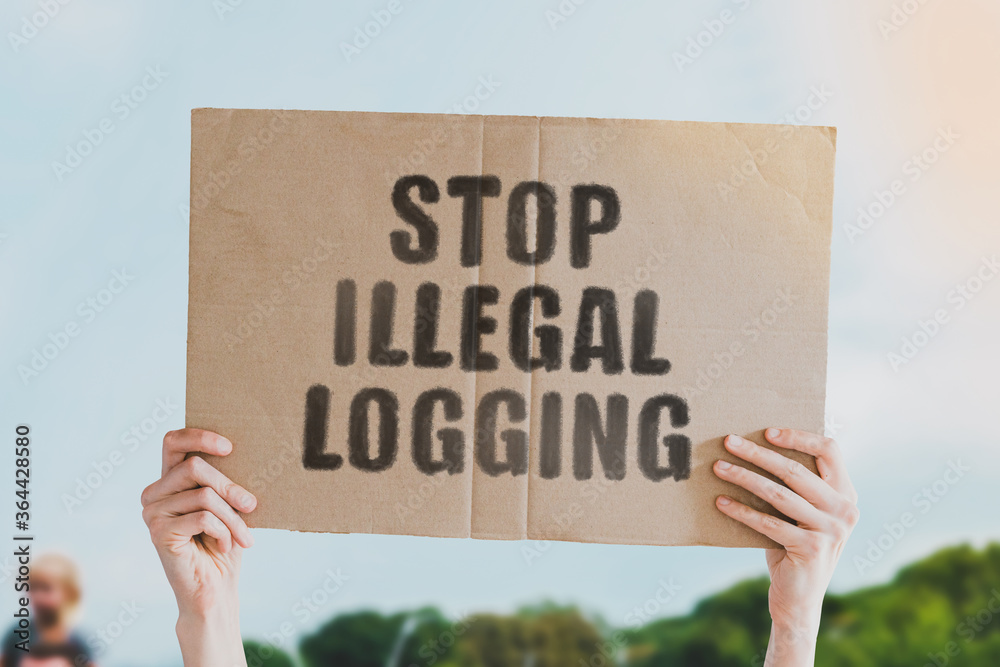 The phrase " Stop illegal logging " on a banner in men's hand with ...