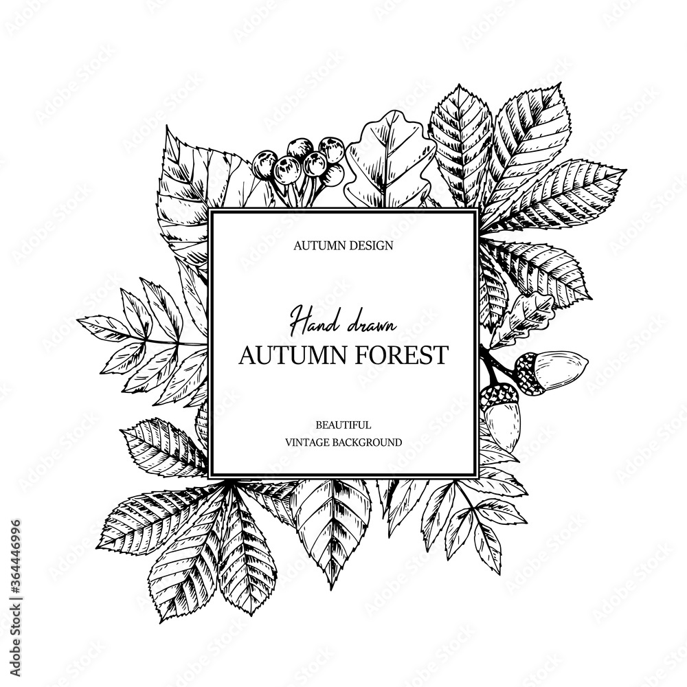 Autumn Leaves Border Black And White