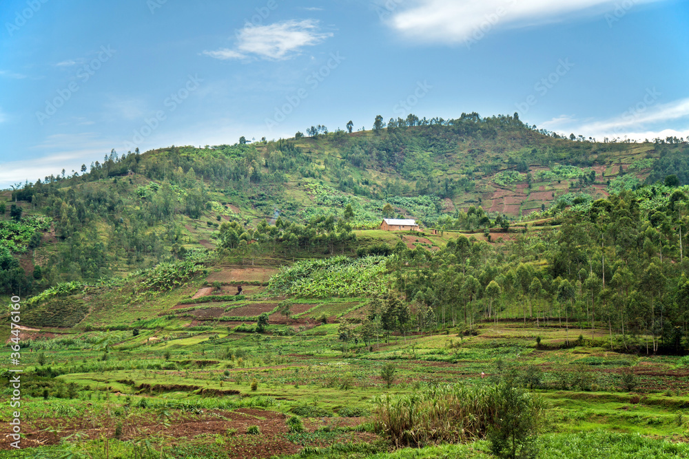 Foto de MUSANZE, RWANDA: People are working their fertile volcanic ...