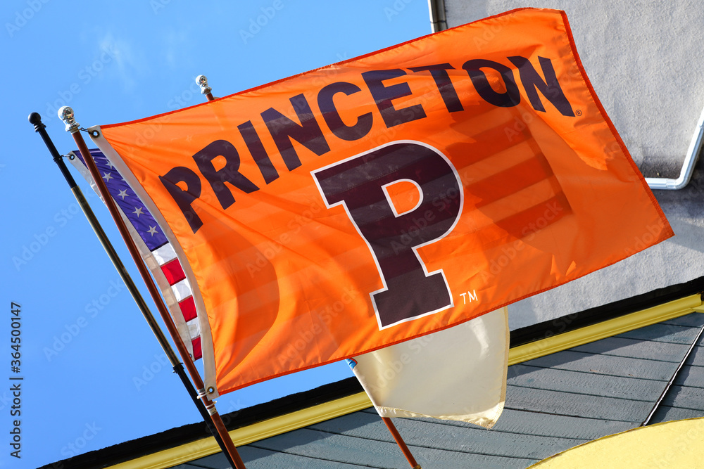 Princeton University Flag