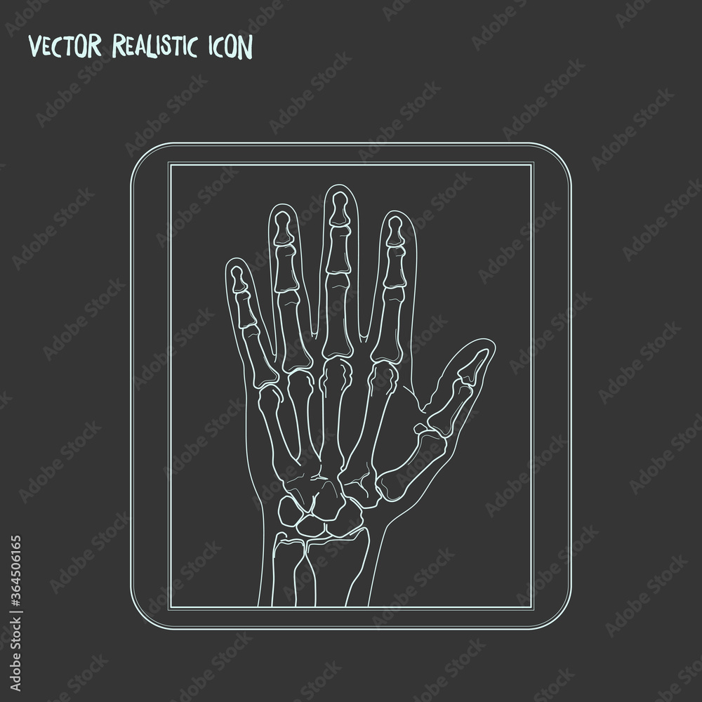 Radiography icon line element. Vector illustration of radiography icon ...
