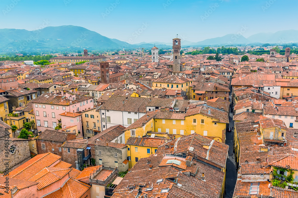 A view from the Guinigi Tower over the terracotta roofs and coloured ...