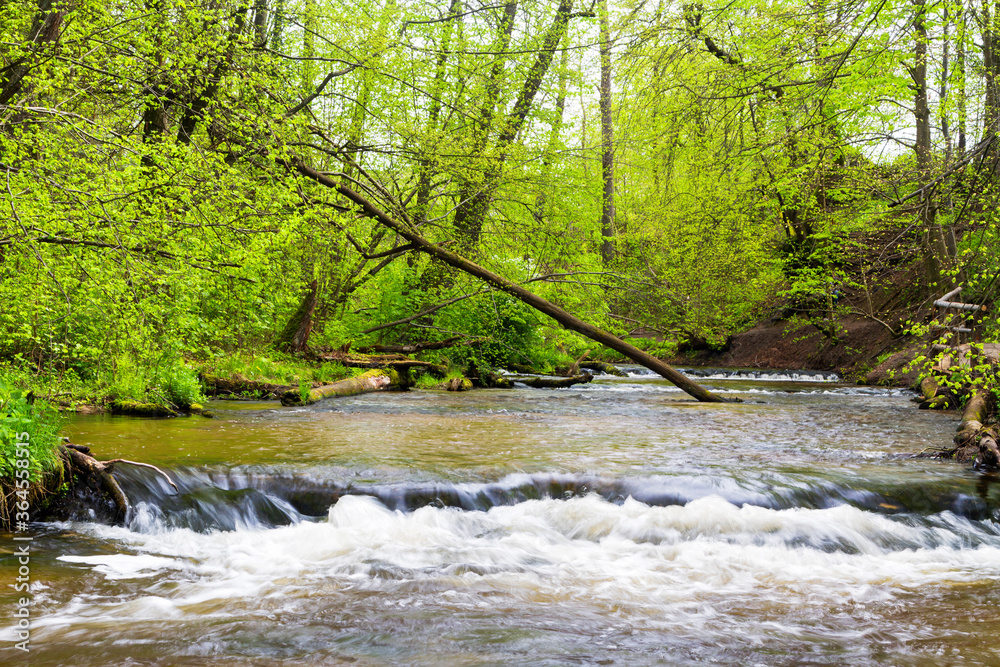 Szumy na Tanwi (Cascades on Tanew River) Roztocze (Roztochia ...