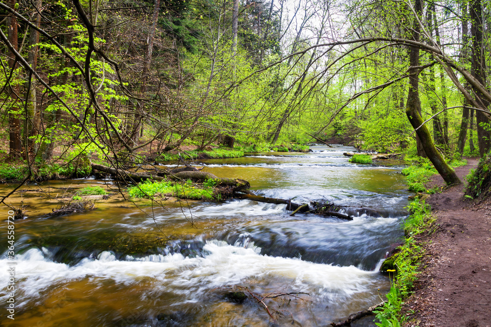 Foto de Szumy na Tanwi (Cascades on Tanew River) Roztocze (Roztochia ...