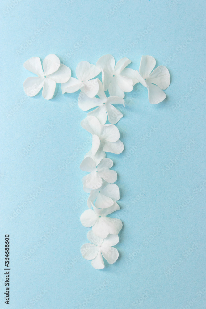 Flower Alphabet - T. Letter made from live flowers on light blue ...